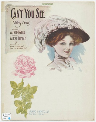 "Can't You See " by Albert Gumble, Alfred Bryan et al.